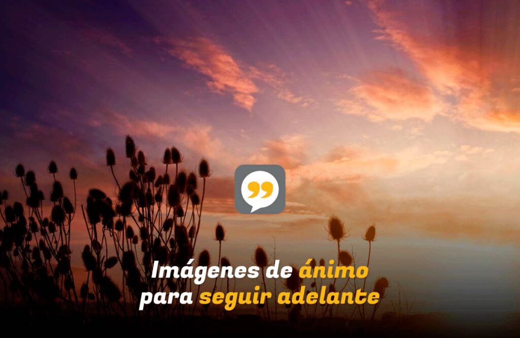 Imágenes de frases de ánimo - Umusho